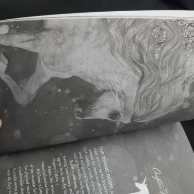 Mirabella Mooncrest, FIT 2024 - Beventi