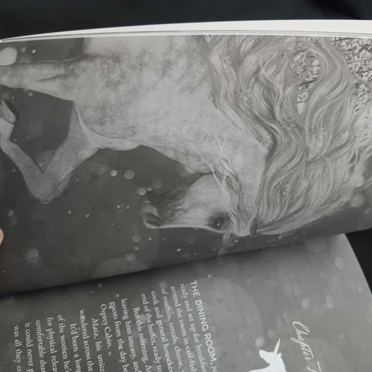 Manic & Magic Books and Beyond, FIT Tampa 2024 - Beventi