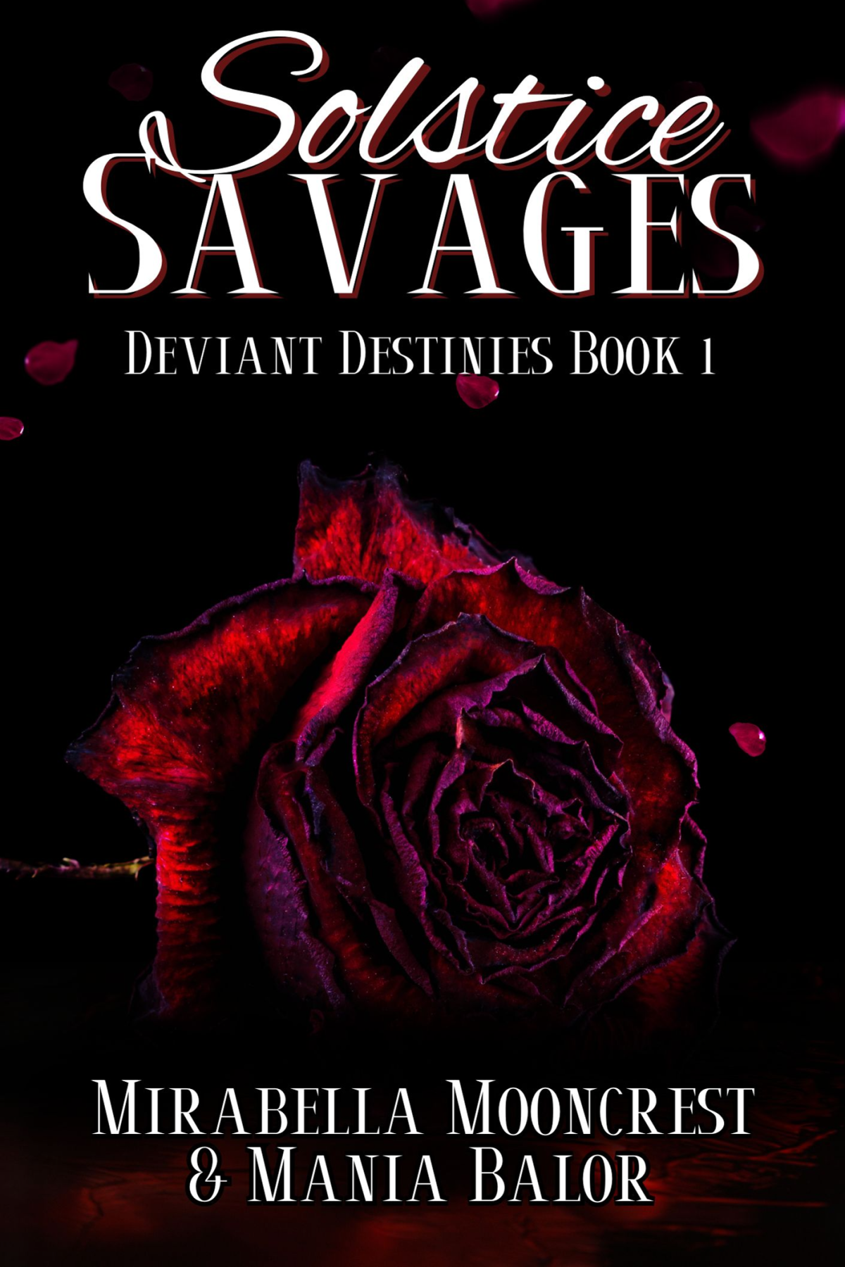 Manic & Magic Books and Beyond, FIT Tampa 2024 - Beventi